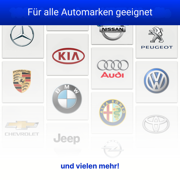 Festberg™ - CarCheck