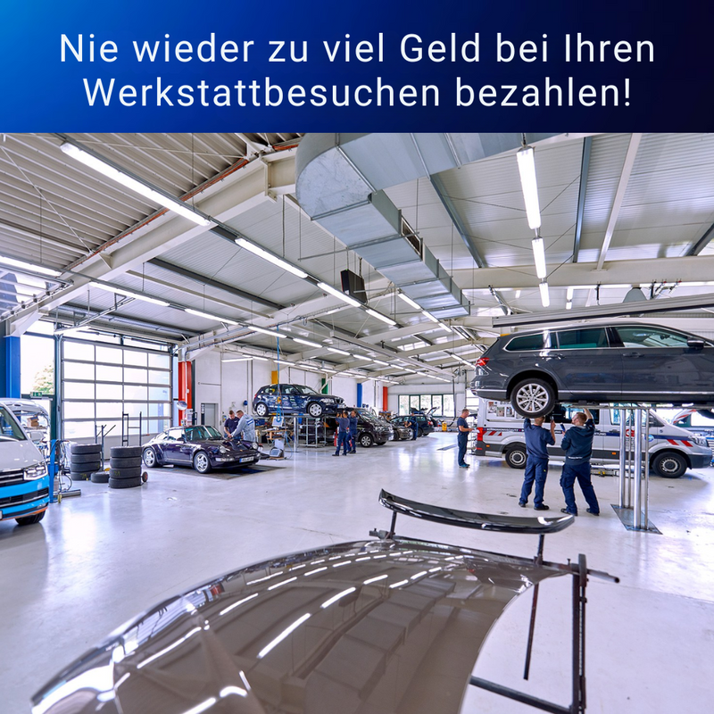 Festberg™ - CarCheck